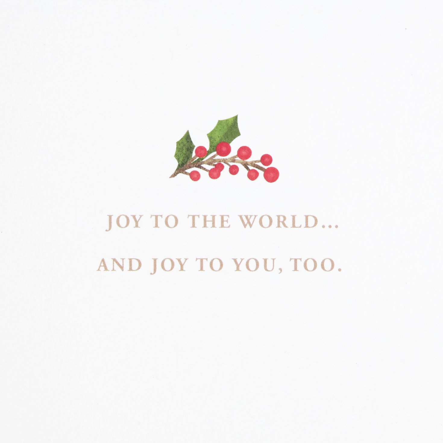 Joy To You Christmas Card - Hallmark