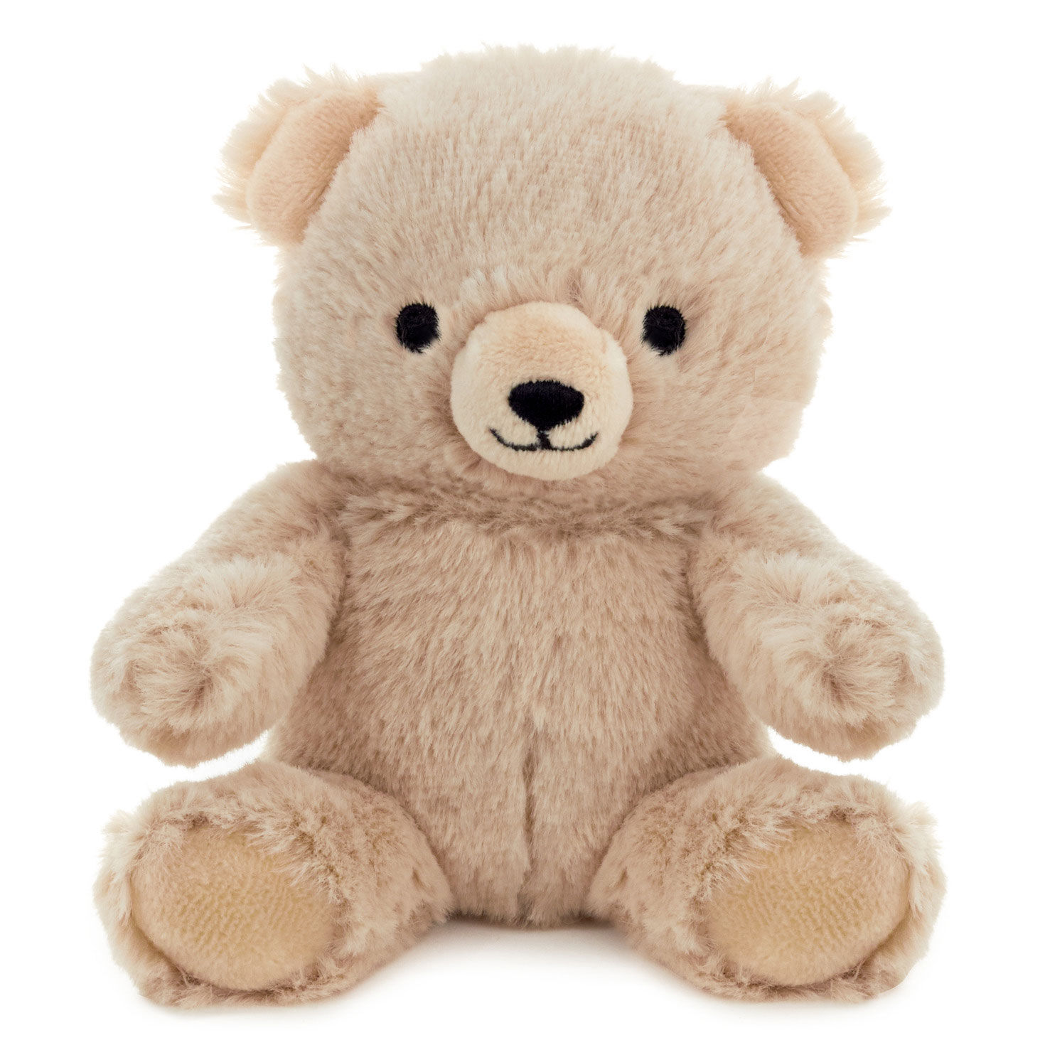 Bear Plush Gift Card Holder - Hallmark