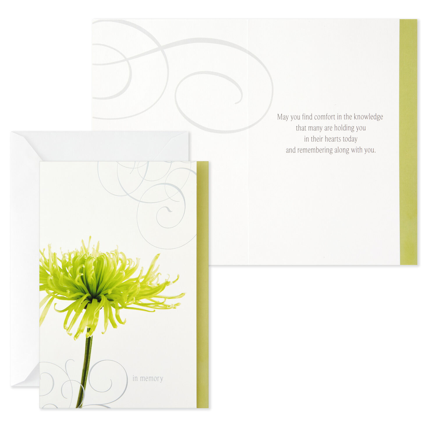 Flower Photos Assorted Sympathy Cards, Box Of 12 - Hallmark