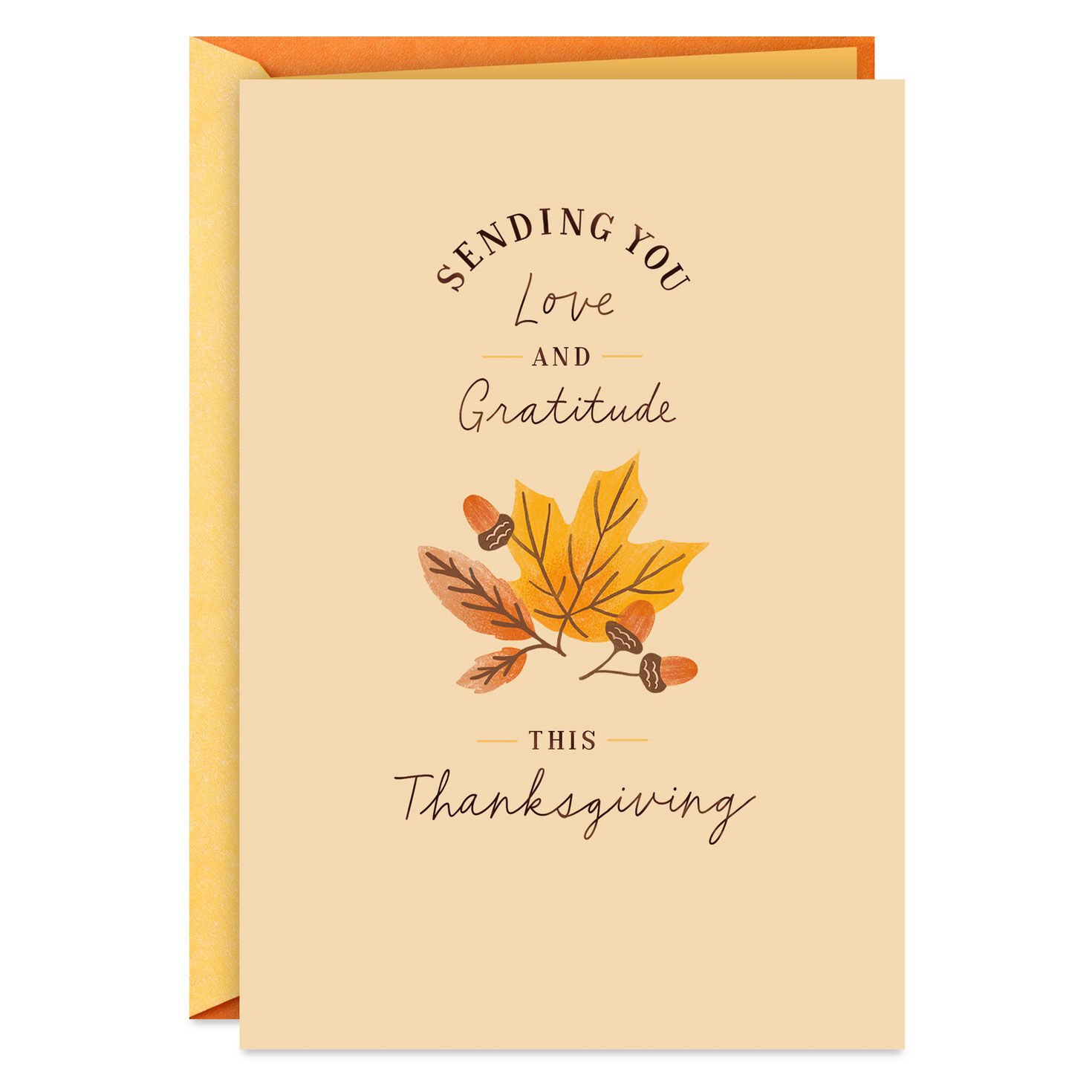 Especially Thankful For You Thanksgiving Card - Hallmark