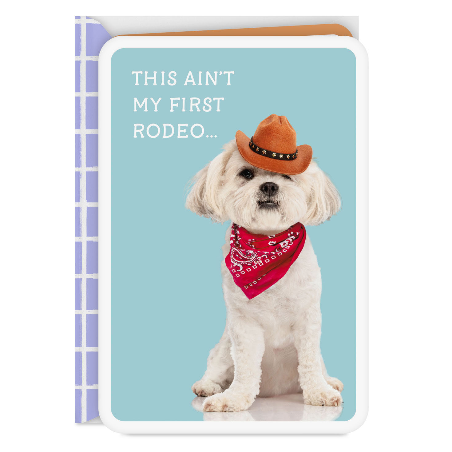 You're One Cool Kid Card - Hallmark