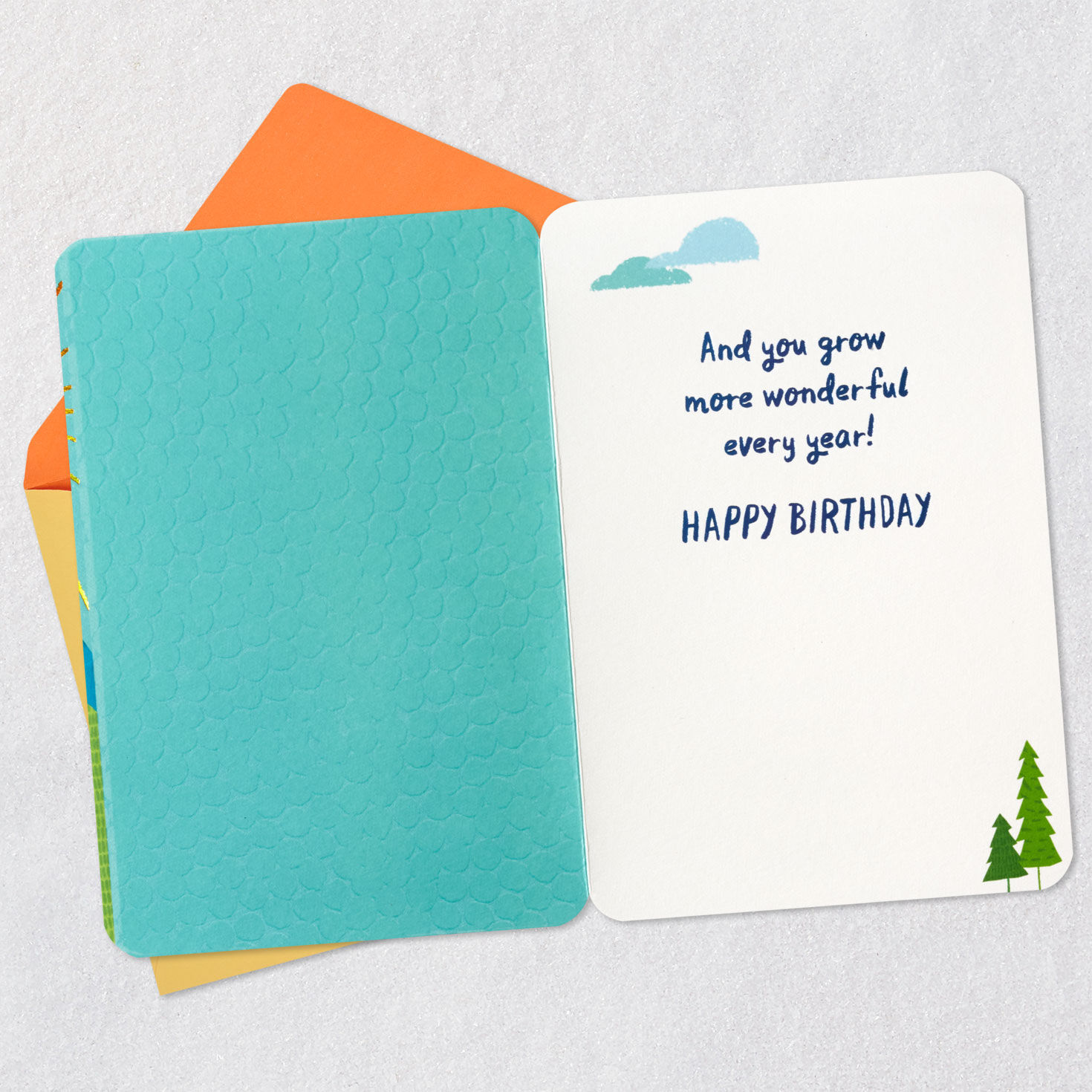 More Wonderful Every Year Birthday Card For Godson - Hallmark